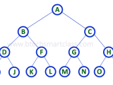 Data Structures Tutorials Binary Tree With An Example